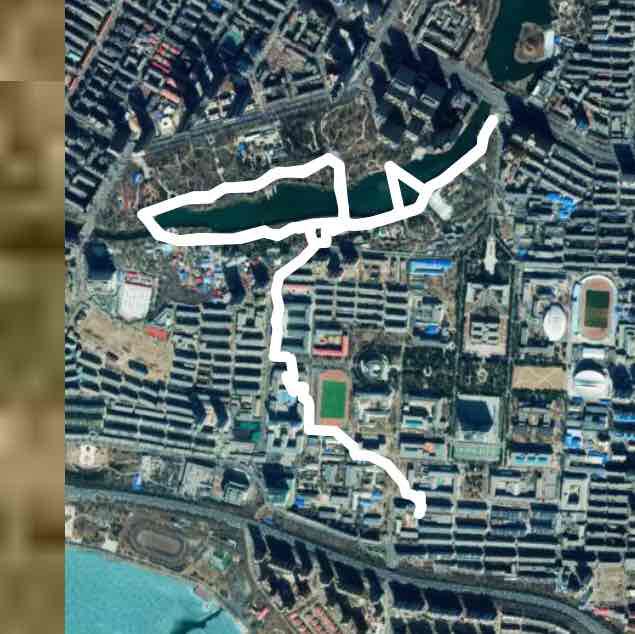 Nanhu Park Run - Heping District, Shenyang, China | Pacer