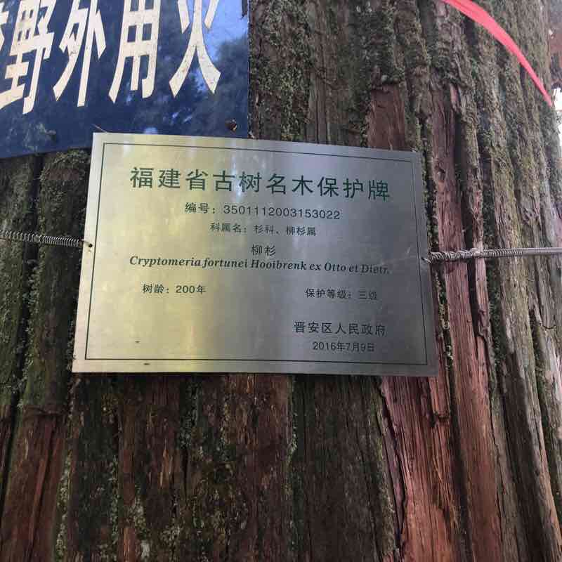 Guling Walk Trail - Jin'an District, Fuzhou, China | Pacer