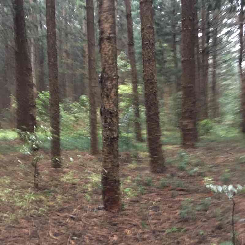 Karura Forest in Nairobi County | Walking Map