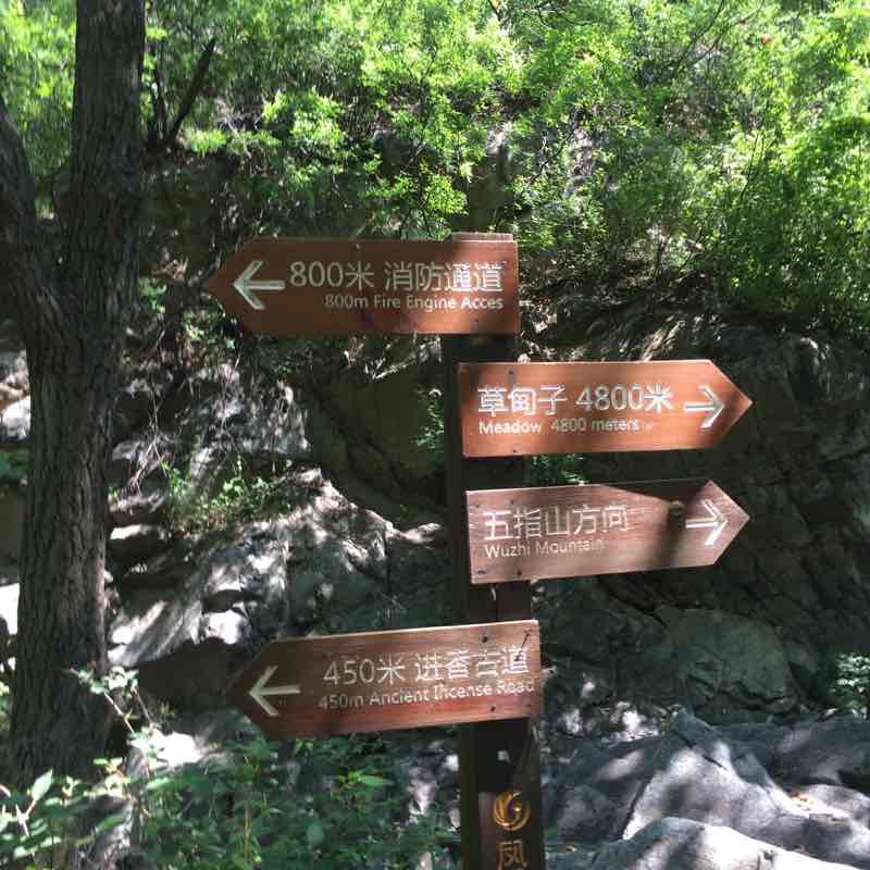Phoenix Ridge Chess Camp Hike Trail - Beijing, China | Pacer