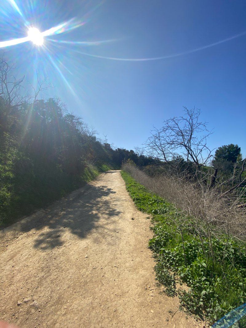 Wilacre Park Walking and Running - Studio City, California, USA | Pacer