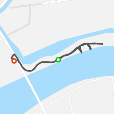 Binjiang Park Walk - Shanghai, China | Pacer